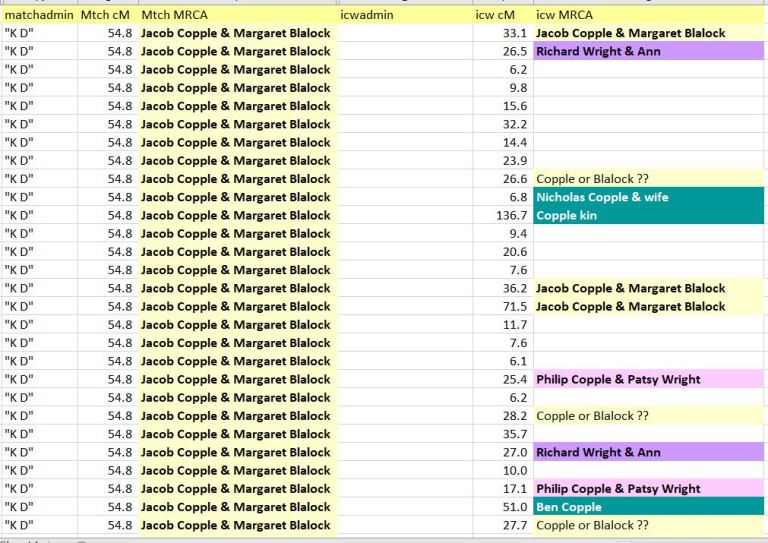Clustering your Ancestry DNA matches with Excel (and DNAGedcom) | Genes ...